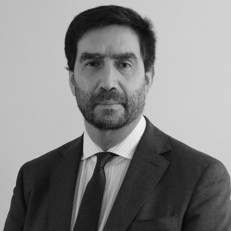 ACADÉMICOS - DOCTORADO EN DERECHO