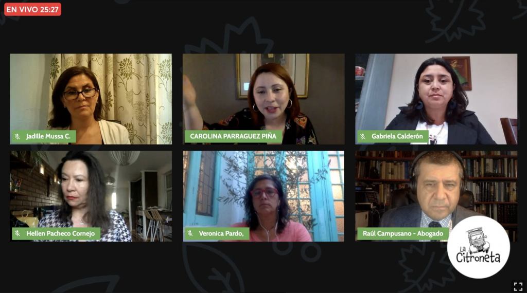 Director del MDA y ex alumnas participan en Conversatorio sobre Constitución y Medio Ambiente ...